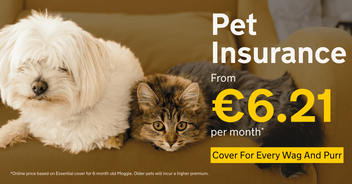 Get Pet Insurance Quote to Protect Your Furry Family Member