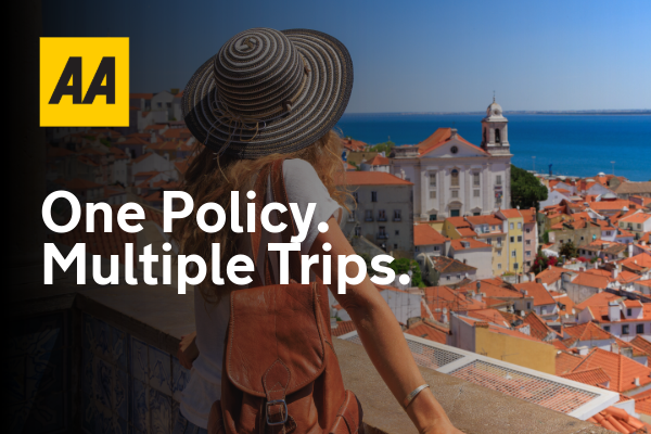 Multi Trip Travel Insurance from €14.99* + Kids Go Free!⌃